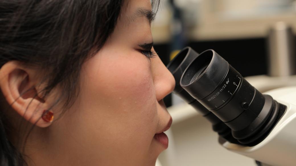 Research | Division of Cardiology