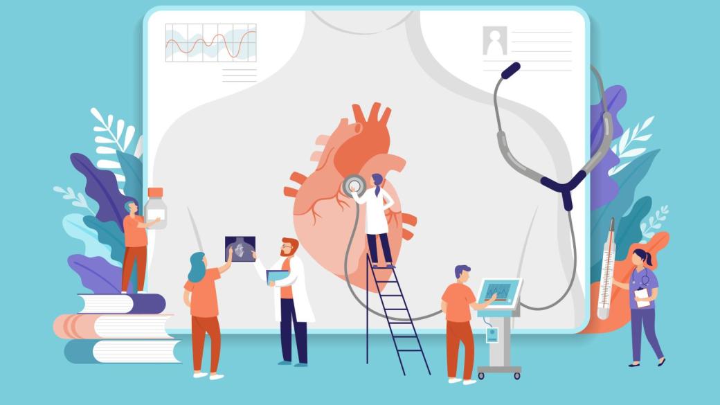 Division of Cardiology