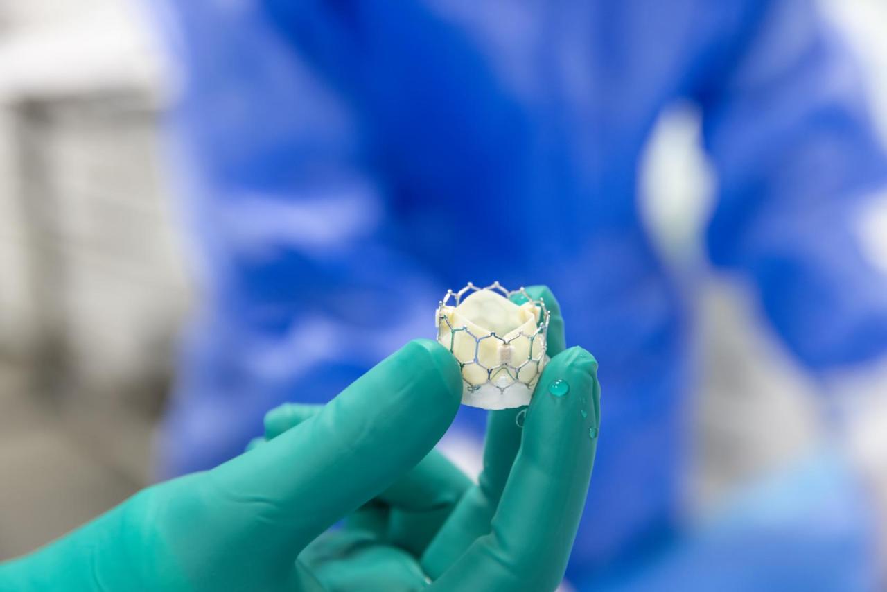 Transcatheter Aortic Valve Replacement (TAVR) | Division of Cardiology