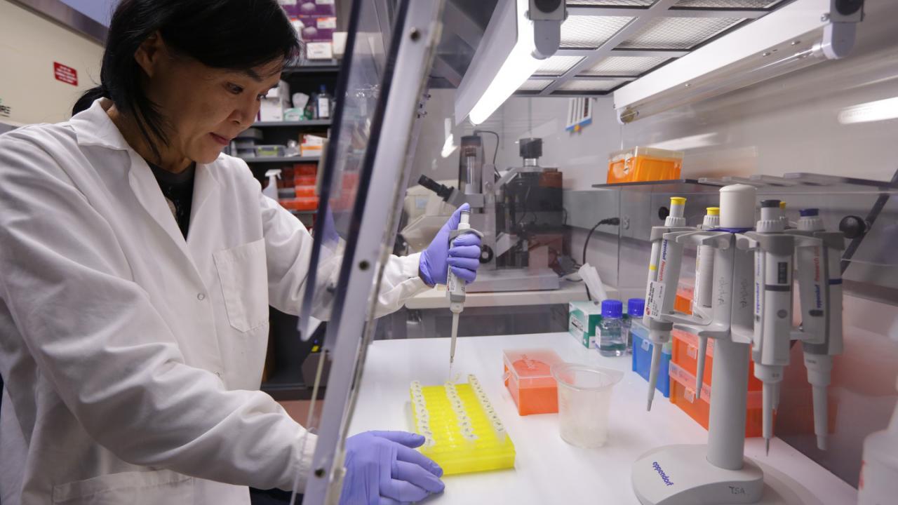 Opportunities | Division of Cardiology