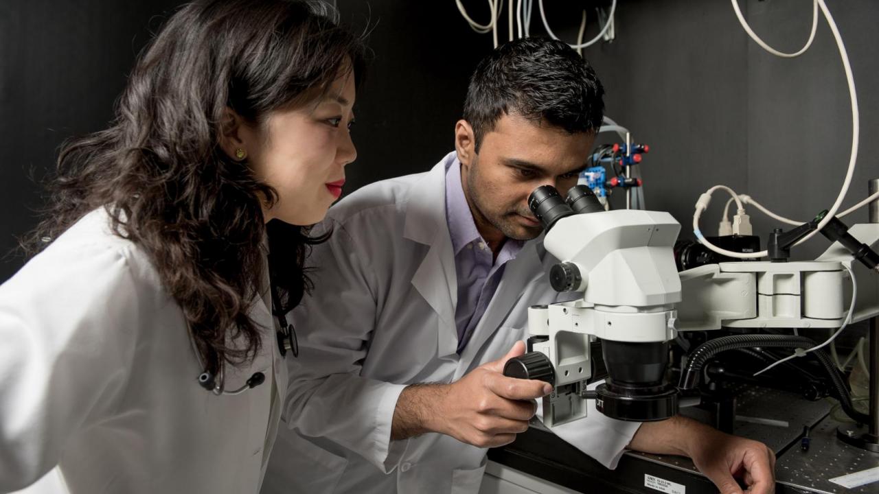 Research Projects | Division of Cardiology