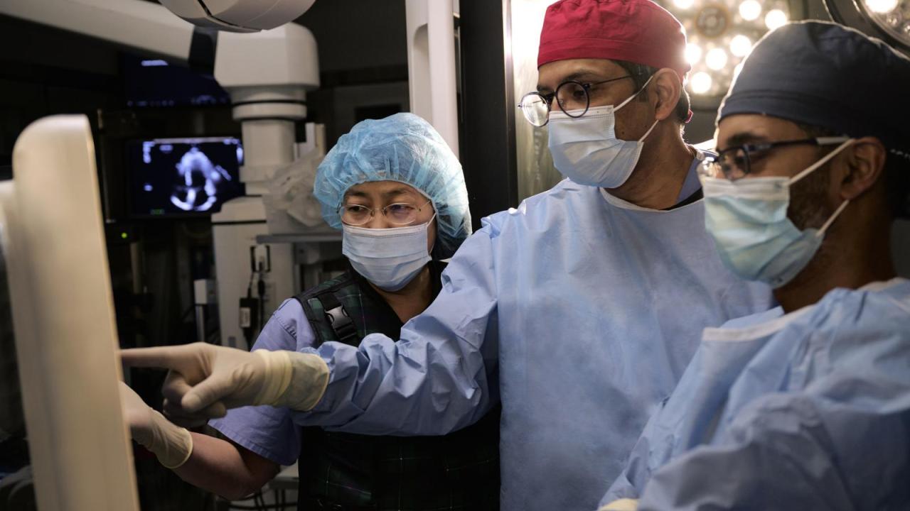 About Us | Division of Cardiology