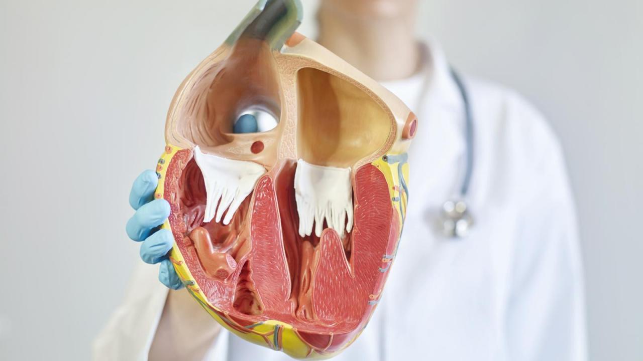 Seeing the Big Picture: Outcomes Registries for Cardiac Surgery and ...