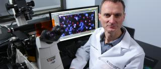 Geoffrey Rubin, MD | Division of Cardiology