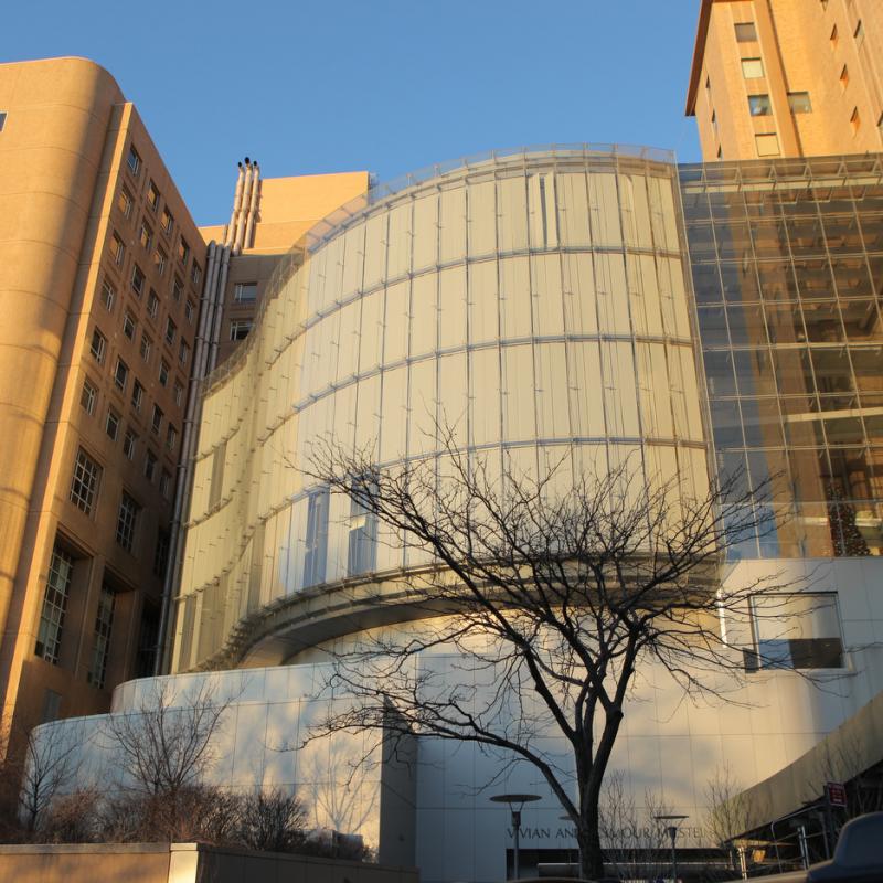 Columbia Hypertrophic Cardiomyopathy Center | Division of Cardiology