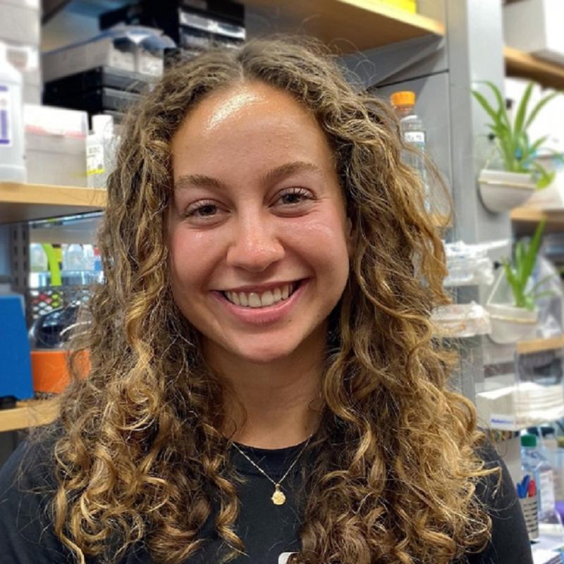 Bauer Lab | Division of Cardiology